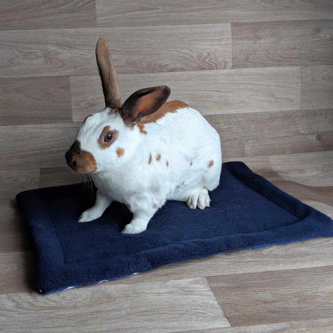 Rabbit Lap Protector [waterproof, Blue] - Etsy