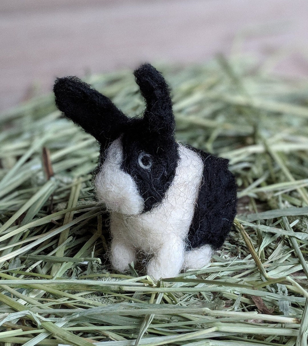 Dolly the Dutch Rabbit Needle Felting Craft Kit - Etsy