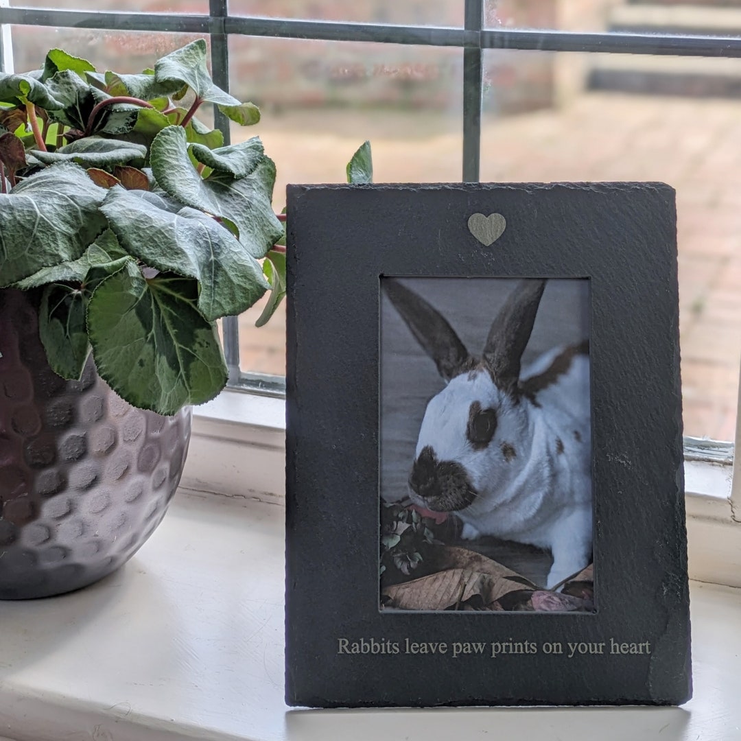 Rabbit Photo Frame, Rabbit Picture Frame, Bunny Photo Frame, Bunny ...