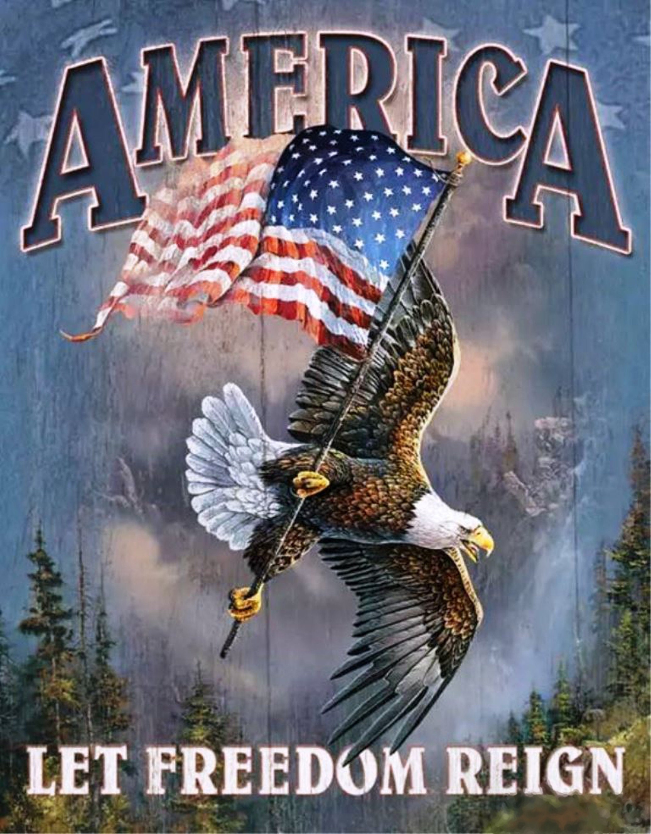 America Let Freedom Reign Sublimated Double Sided Deluxe - Etsy UK