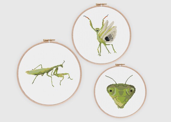 Tutorials Sewing & Needlecraft Embroidery Praying Mantis Embroidery ...