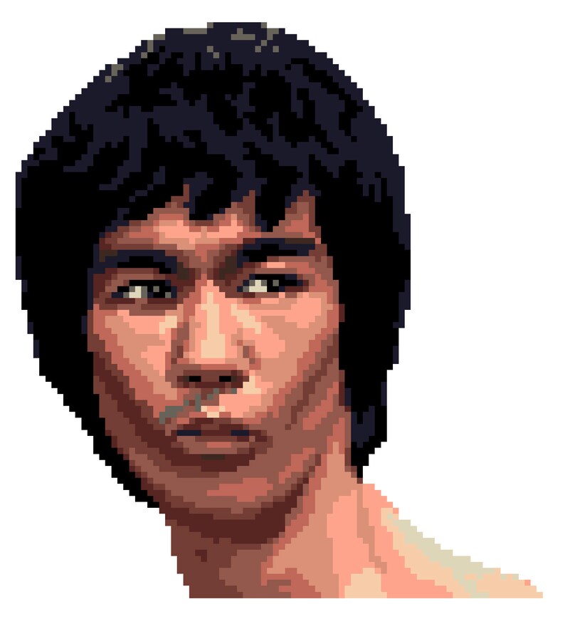 Bruce Lee Modern Cross Stitch Pattern: Instant Digital - Etsy