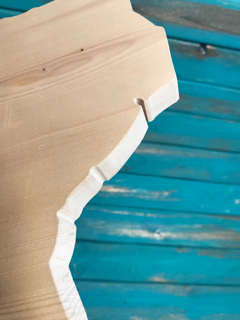 Custom State/wooden State Cut Out/silhouette - Etsy