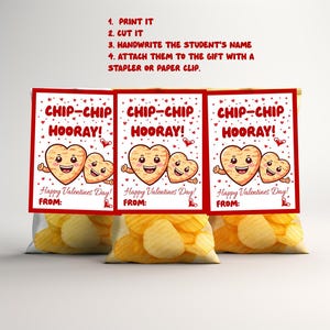 PRINTABLE Valentines Day Gift Tag 3"x4"/chip Chip Hooray Valentines Day ...