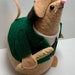 PDF Pattern and Instructions for Felt French Mouse, Digital Download ...