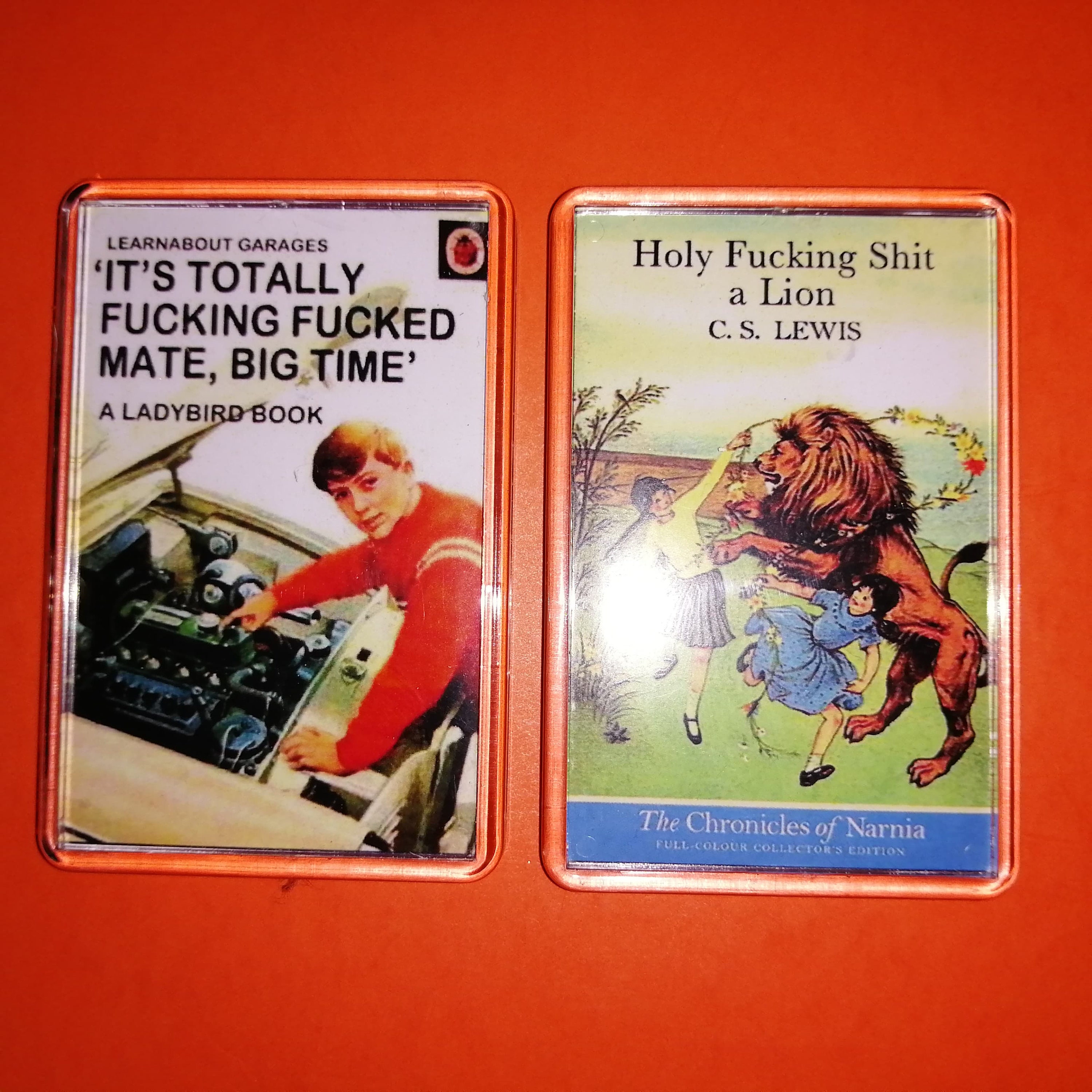 Set of 2 Fridge Magnets 7.5 Cm X 4.5 Cm Novelty Funny Book - Etsy