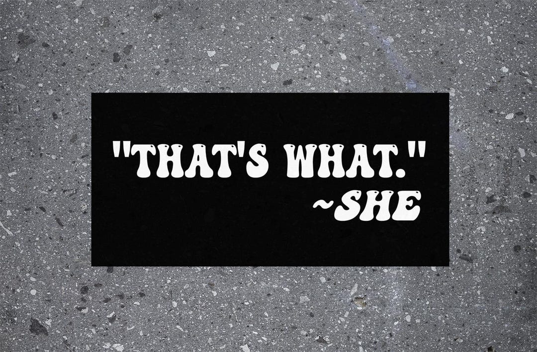 That's What She Said Car Bumper Sticker Birthday Gift Housewarming Co ...