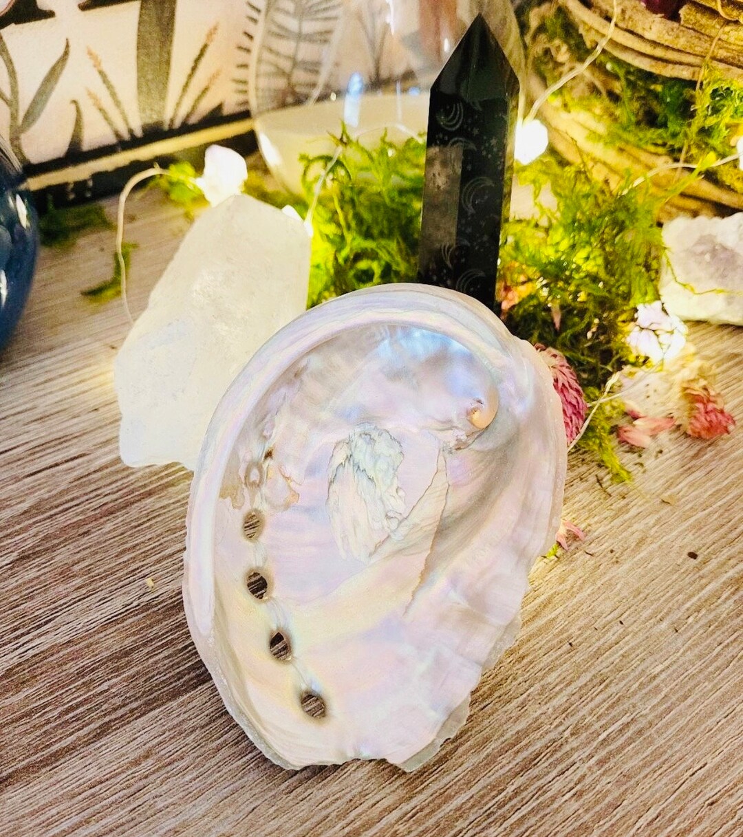 Abalone Shell , Abalone Natural Smudging Bowl, Wiccan Altar Supply ...