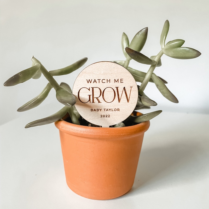 Watch Me Grow Tags - Etsy