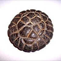 China Natural Stone "tortoise Back Pattern" Stone Moire Stone 101101 Tj ...
