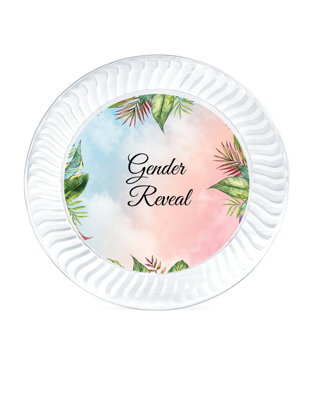 Gender Reveal Plate| Gender Reveal Theme Event| Plastic Clear Plates| 9 ...