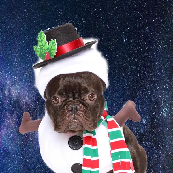 Snowman Costume - Etsy