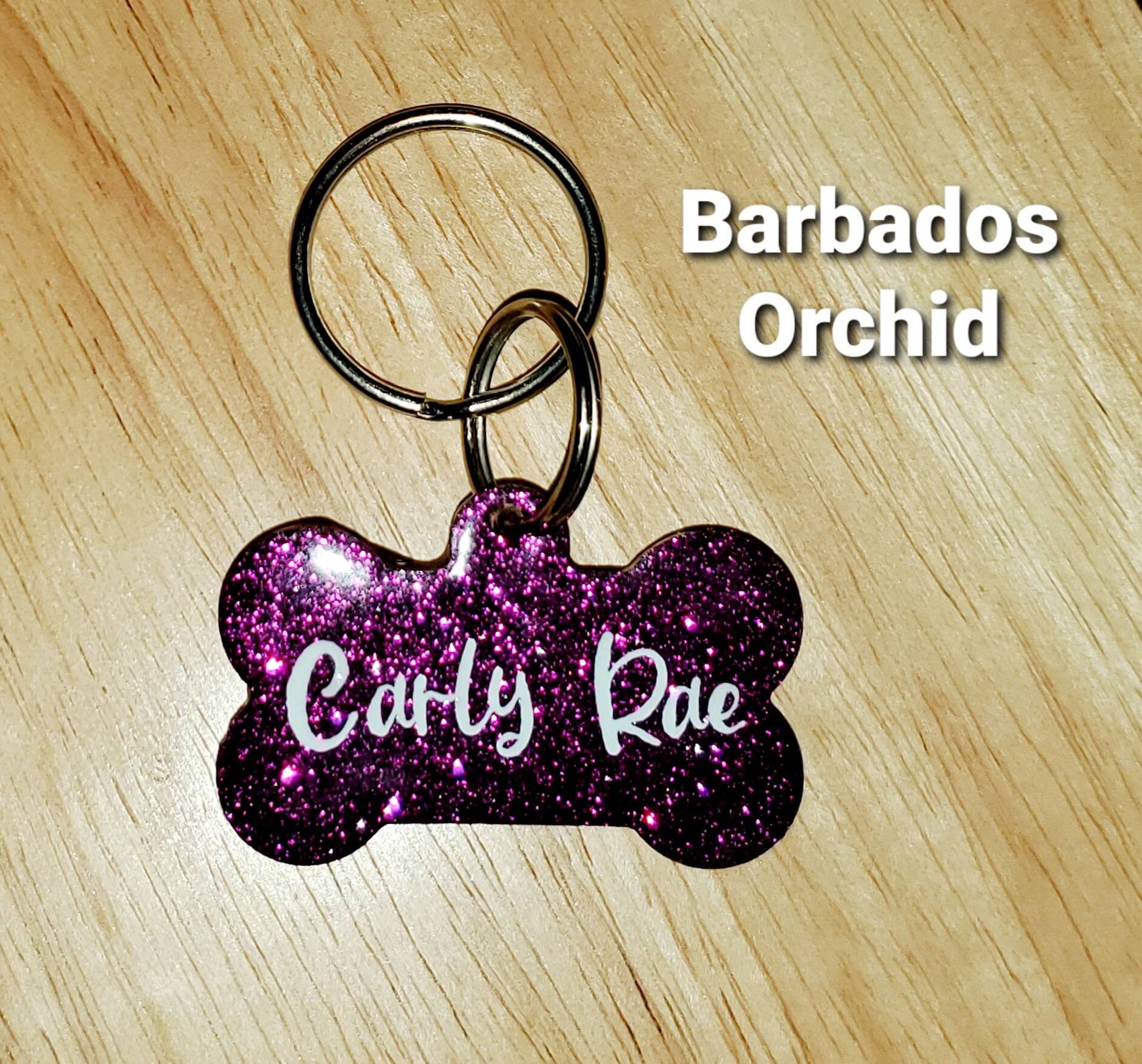 Personalized Dog Bone Name Tag Custom Dog Tag Pet ID - Etsy