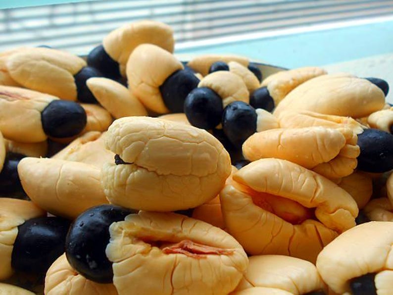 25 Ackee Blighia Sapida Seeds Only, 25 Seeds-grow Your Own Ackee Tree ...