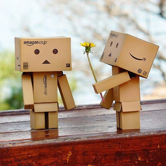 Amazon Box Robot Couple