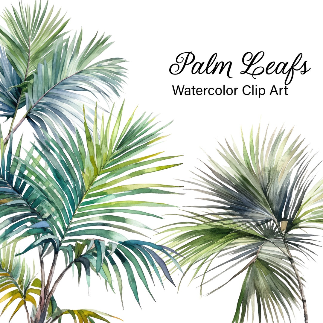 Watercolor Kentia Palm Leaves Design Clip Art Flower Weddings - Etsy