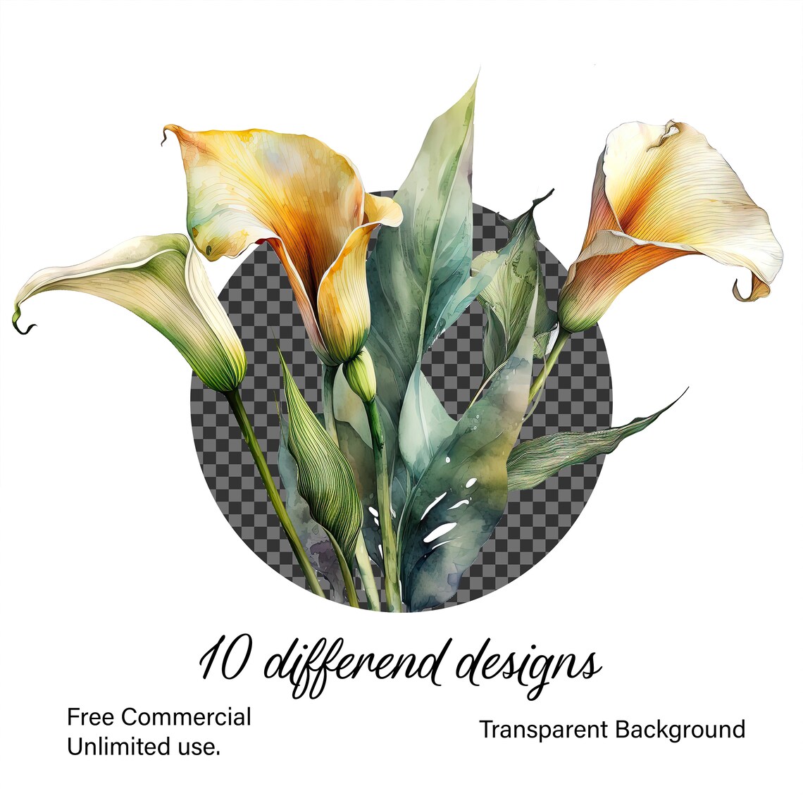 Watercolor Calla Lily Design Clip Art Flower Weddings - Etsy