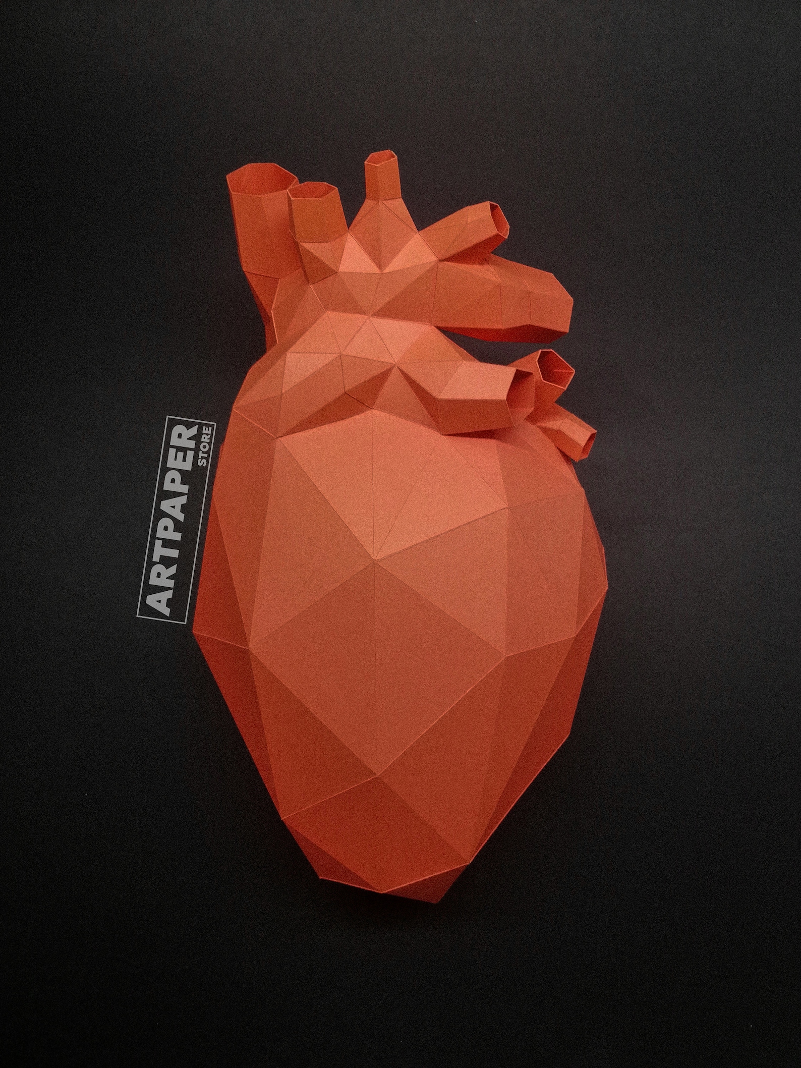 Papercraft Human Organs Brain Heart Tooth Lungs 3D Low Poly - Etsy