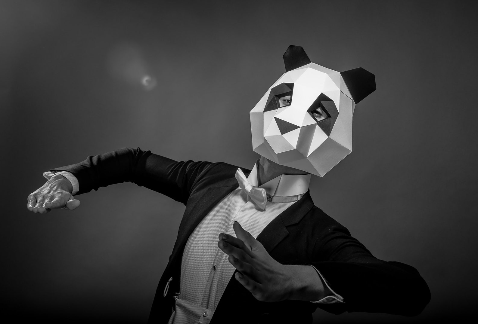 3D Low Poly Panda Mask: DIY Papercraft Sculpture (PDF Pattern) - Etsy