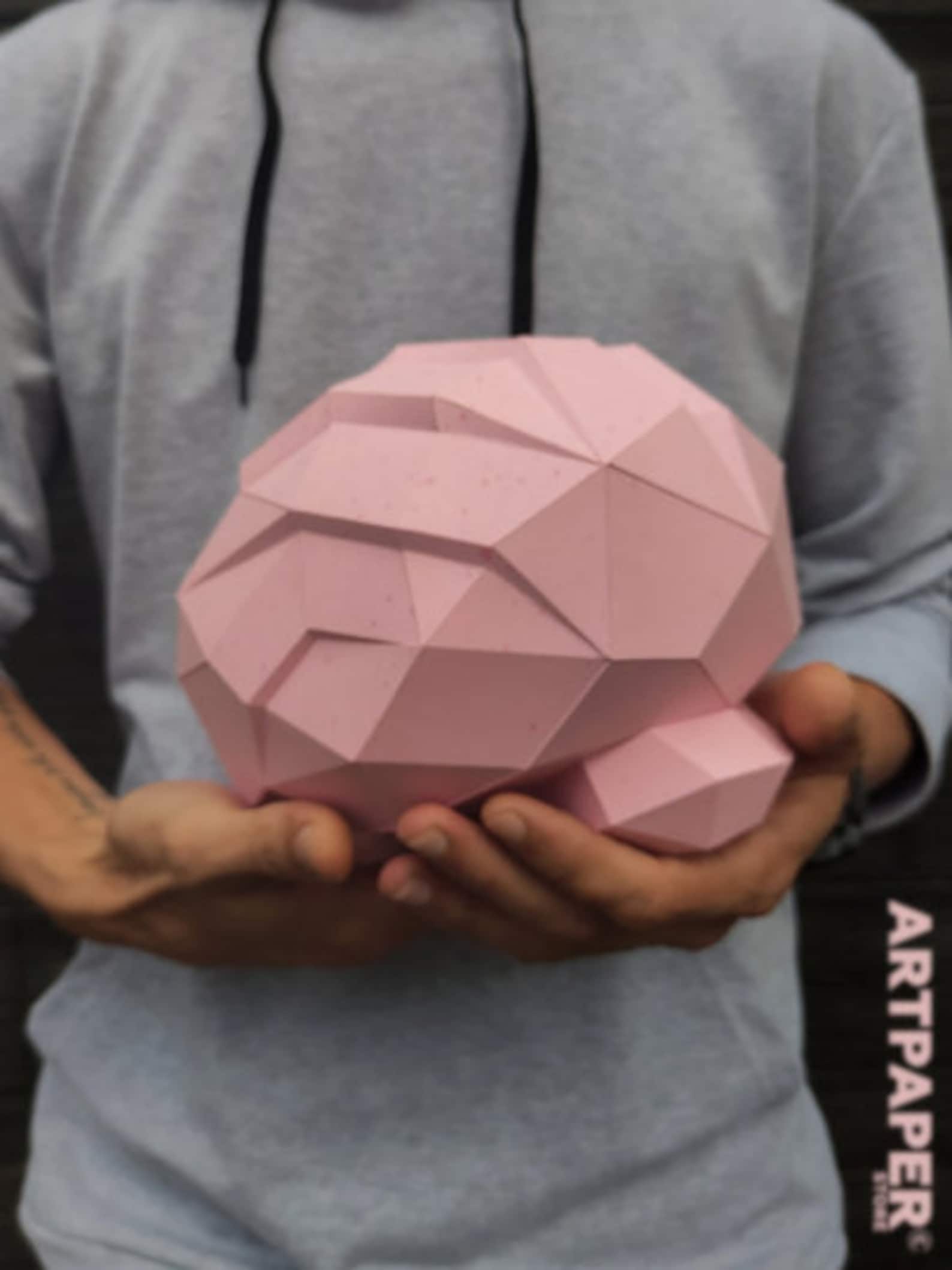 Papercraft Human Organs Brain Heart Tooth Lungs 3D Low Poly - Etsy