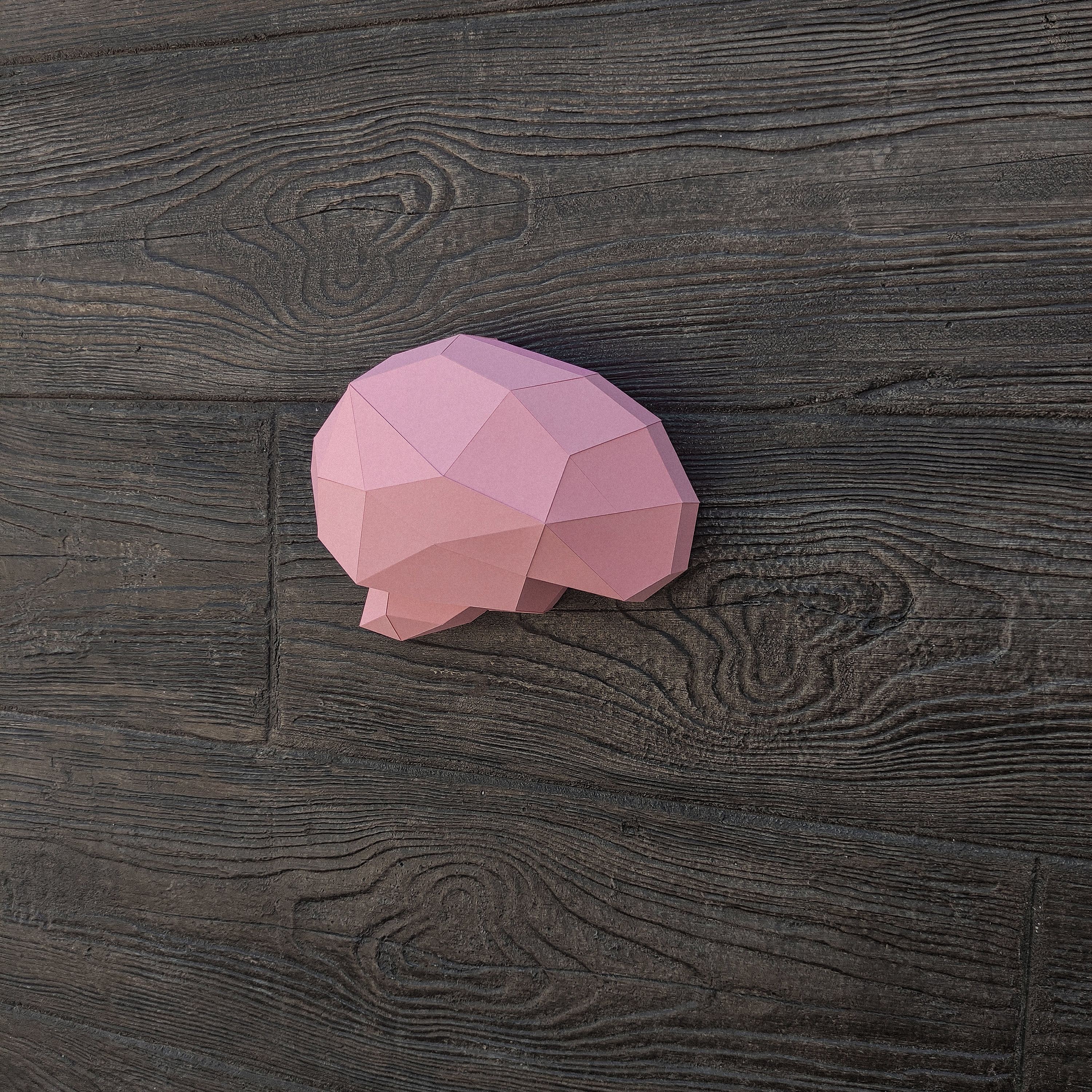 DIY Papercraft Human Brain Sculpture: Low Poly Wall Decor (PDF Pattern ...