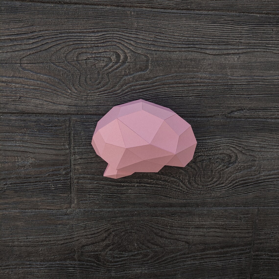 Papercraft Human Brain Valentines Day 3D Low Poly Paper - Etsy Canada