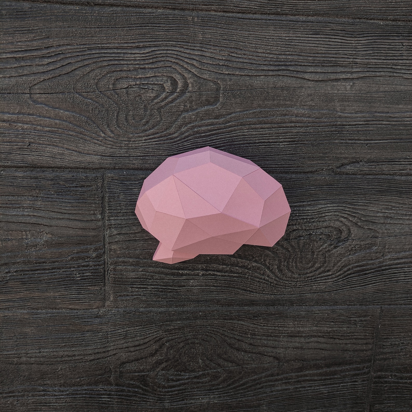 Papercraft Human Brain Valentines Day 3D Low Poly Paper - Etsy Canada