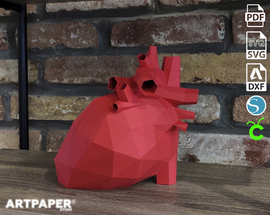 3D Human Heart Paper Sculpture: DIY Low Poly Model (PDF Pattern) - Etsy
