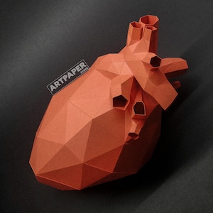 Papercraft Human Organs Brain Heart Tooth Lungs 3D Low Poly Paper ...