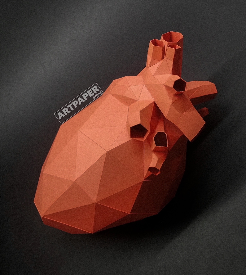 3D Papercraft Human Organs: DIY Low Poly Sculpture (PDF Pattern) - Etsy