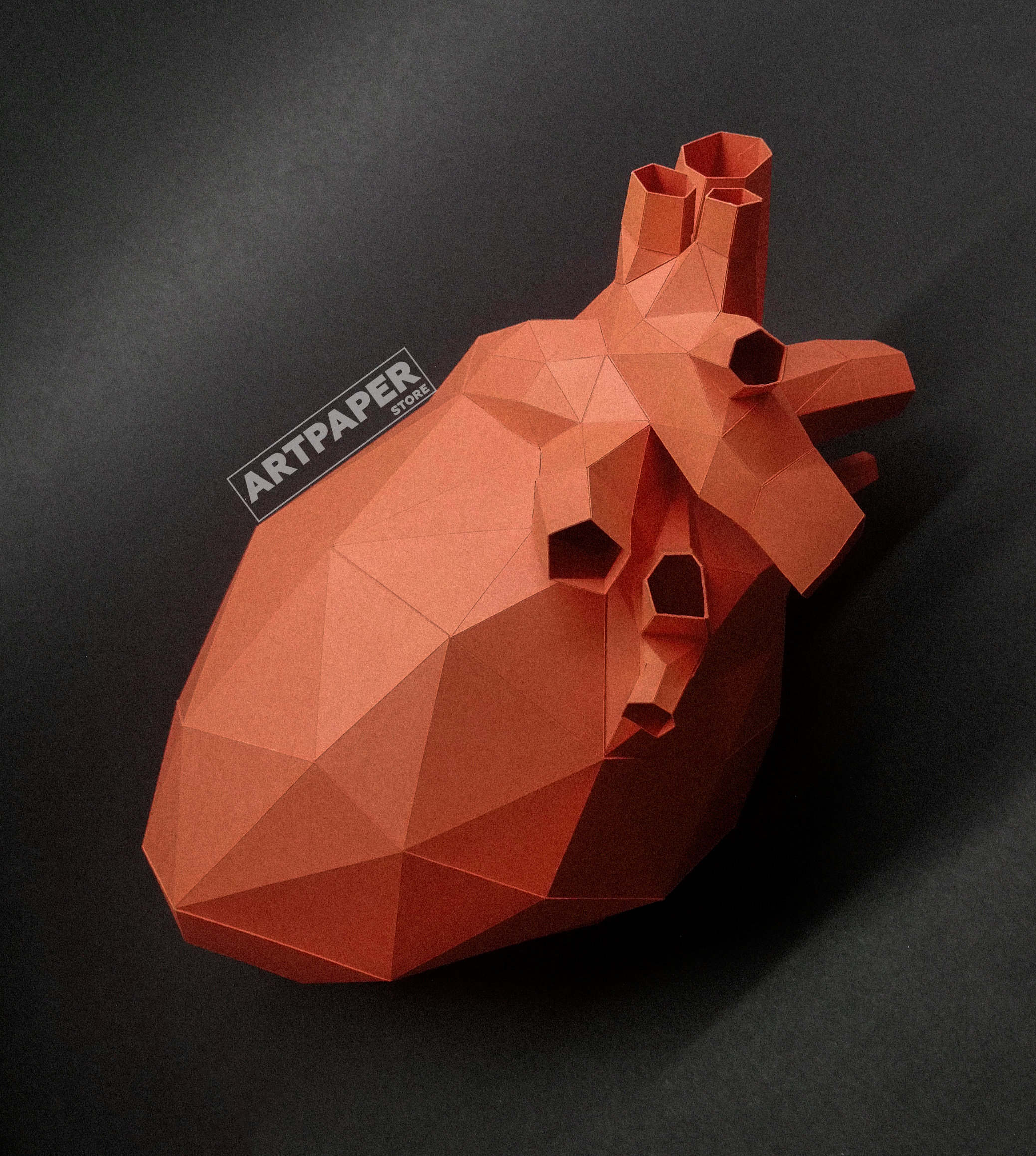 Papercraft Órganos Humanos Cerebro Corazón Diente Pulmones 3D - Etsy México