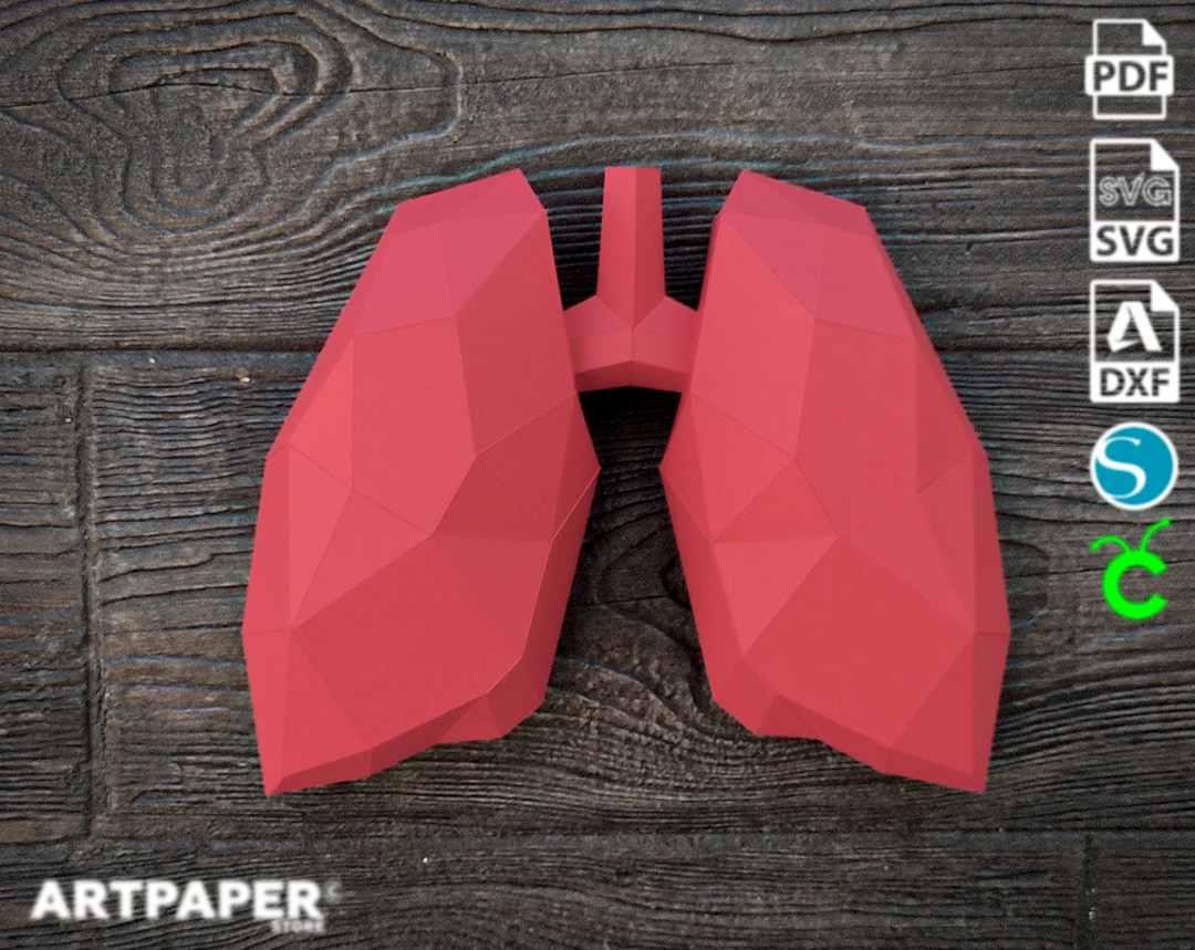 Papercraft Human Lungs Template – Low Poly 3D Printable PDF SVG Dxf ...