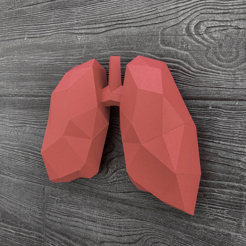 Papercraft Human Lungs: 3D Low Poly Paper Sculpture (PDF Pattern) - Etsy