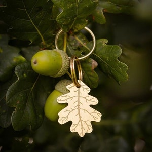 Personalised Oak Leaf Dog ID Name Tag in Brass - Etsy