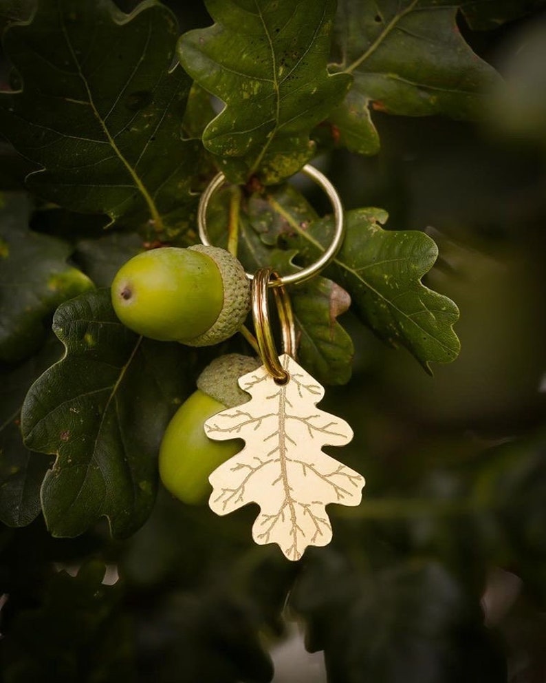 Personalised Oak Leaf Dog ID Name Tag in Brass | Etsy UK