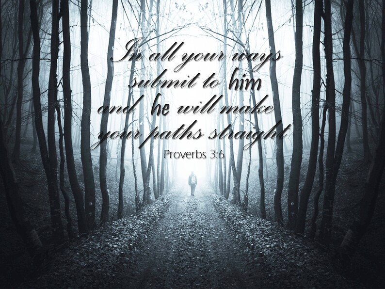 Proverbs 3:6 #3 NIV He Will Make Your Paths Straight Scripture Art ...