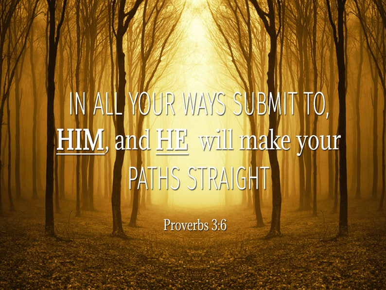 Proverbs 3:6 7 NIV He Will Direct Your Path Scripture Art - Etsy