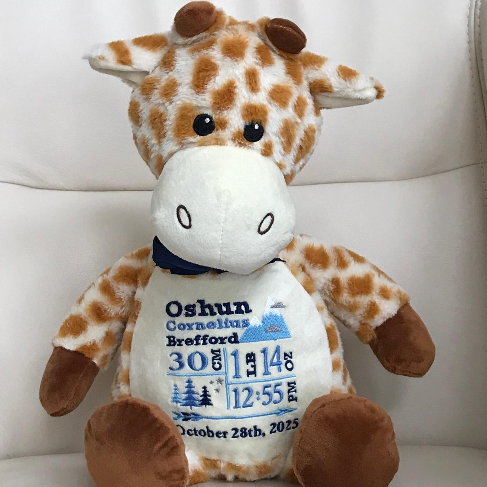 Personalized Stuffed Animal, Personalized Giraffe, Personalized Baby ...