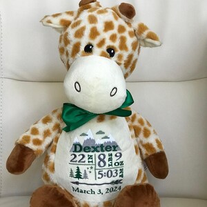 Personalized Stuffed Animal, Personalized Giraffe, Personalized Baby ...