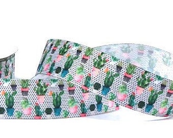 Ribbon Cactus Plant - Etsy