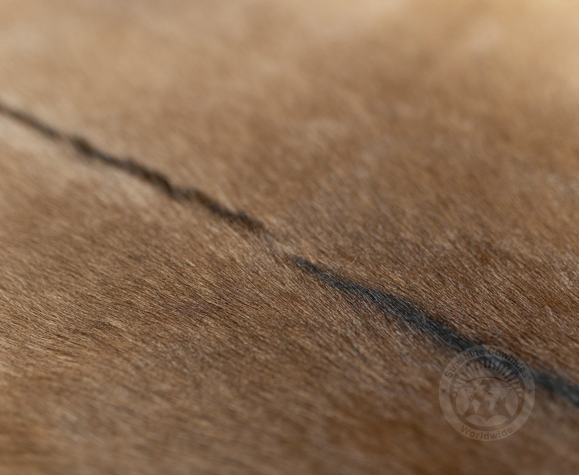 Goatskin Hides Exotic Tones - Genuine Leather Rug - Size 2x3' - Etsy