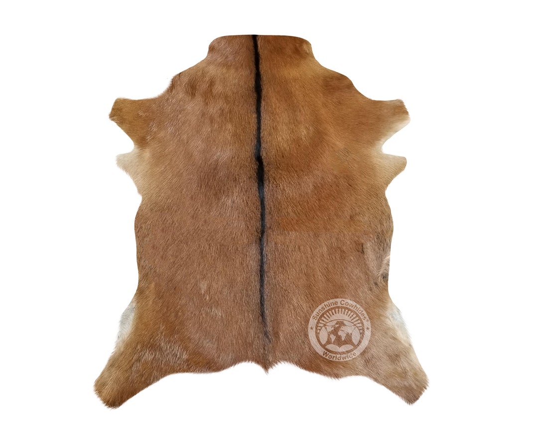 Brown Goatskin Hide, Genuine Leather Rug - Size 2x3' - Etsy