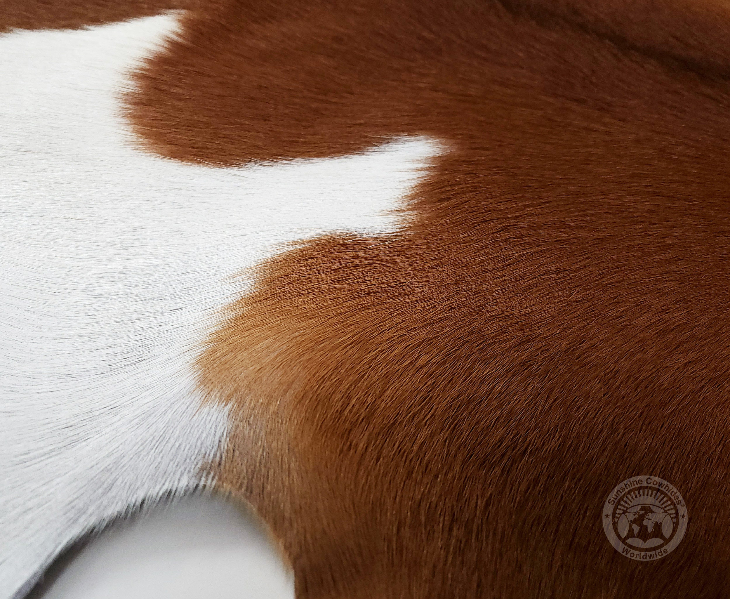 Goatskin Hide Brown and White - Size 2x3' - Etsy