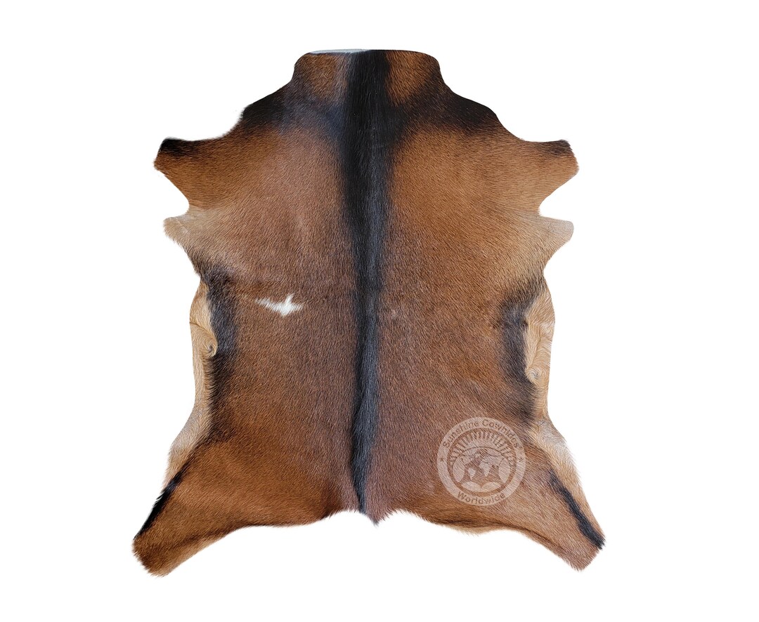 Real Goatskin Hide, Exotic Hide - Size 2x3' - Etsy