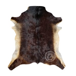 Genuine Goatskin Hide, Goat Skin Rug - Size 2x3' - Etsy