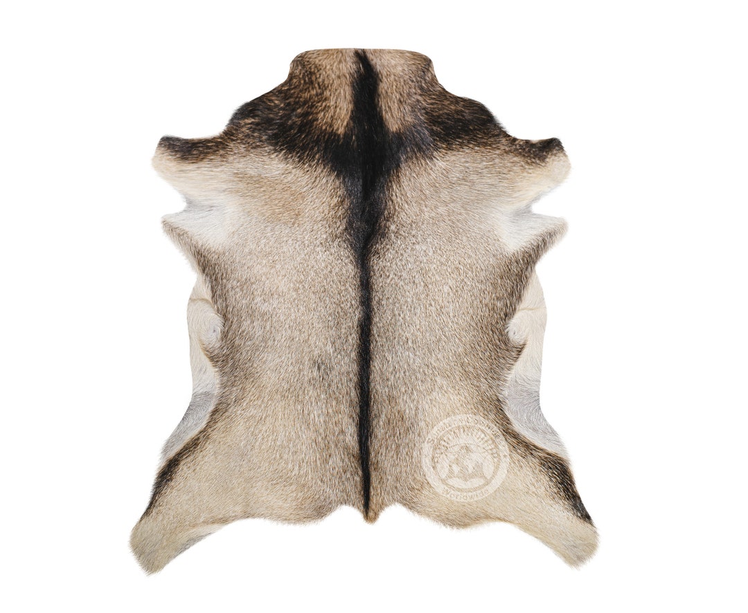 Goatskin Hides Exotic Tones Genuine Leather Rug Size - Etsy