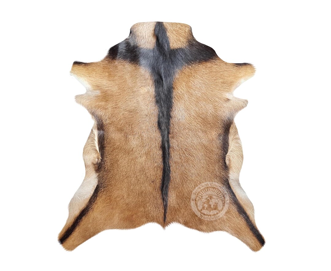 Genuine Goatskin Hide, Exotic Tones - Western Style - Etsy