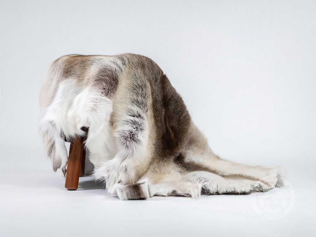 Real Reindeer Hide Rug, Size XXL - Etsy