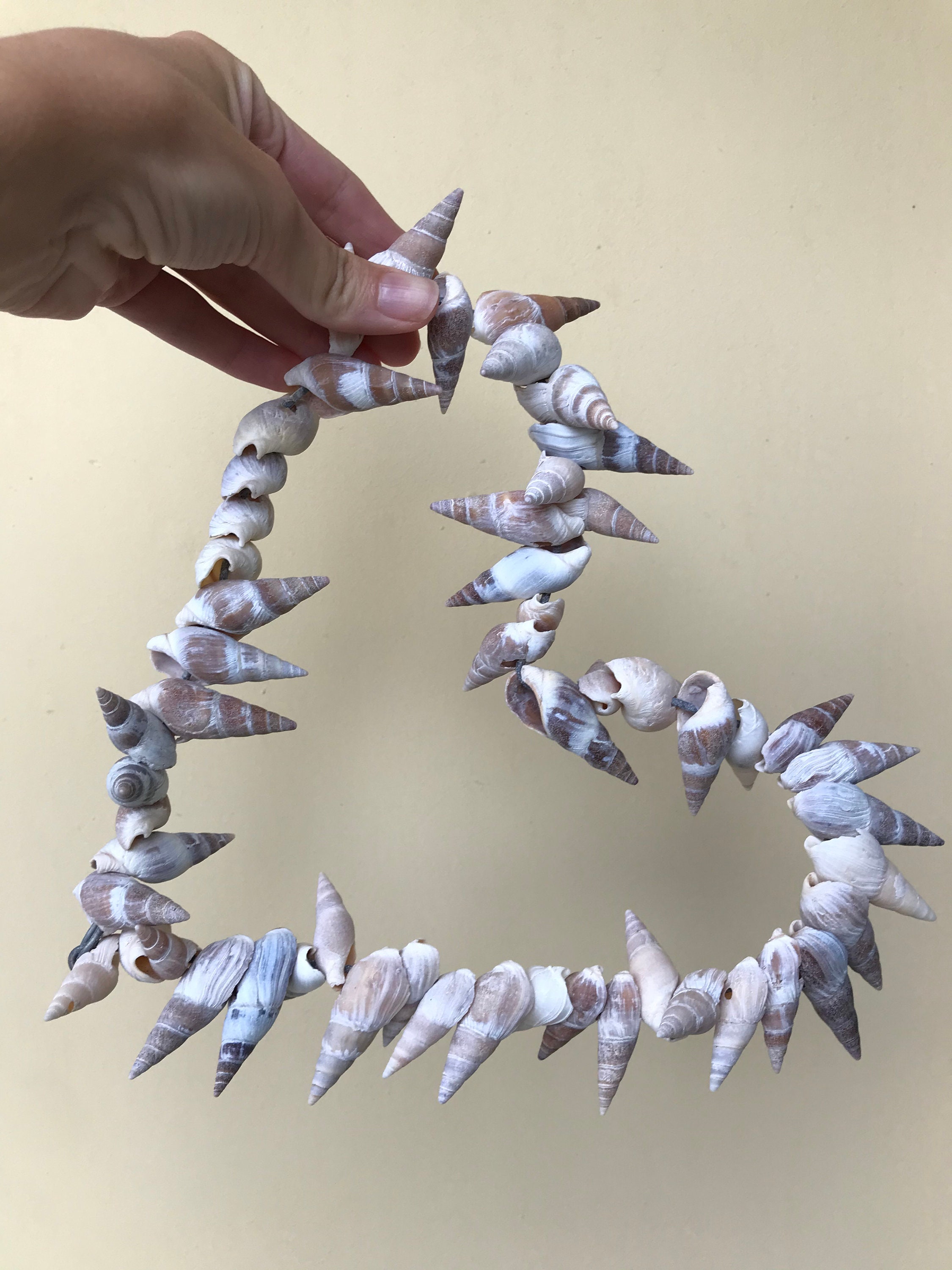 Beautiful Heart With Sea Snail Shells Conch Shells Decor | Etsy