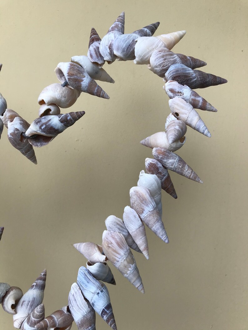 Beautiful Heart With Sea Snail Shells Conch Shells Decor - Etsy